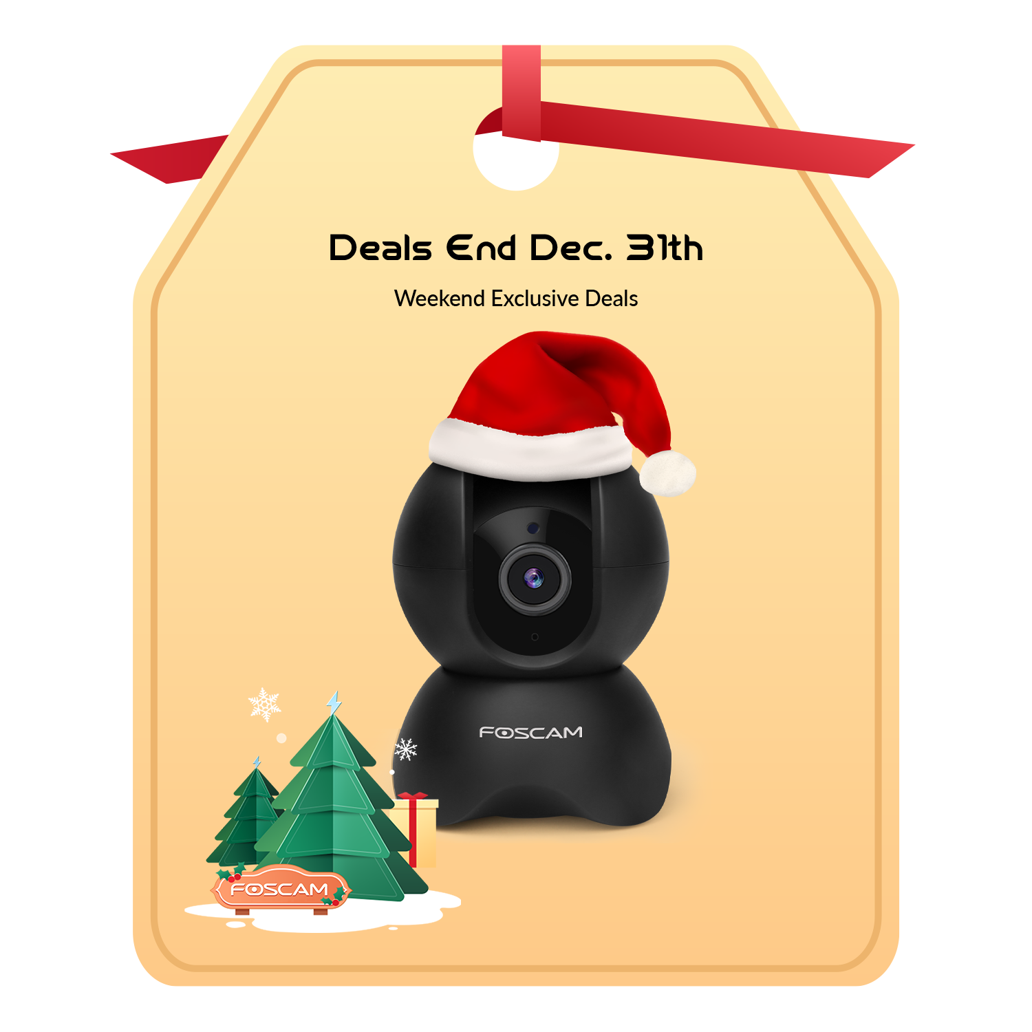 Foscam® US official store - Home Security IP Cameras Security System